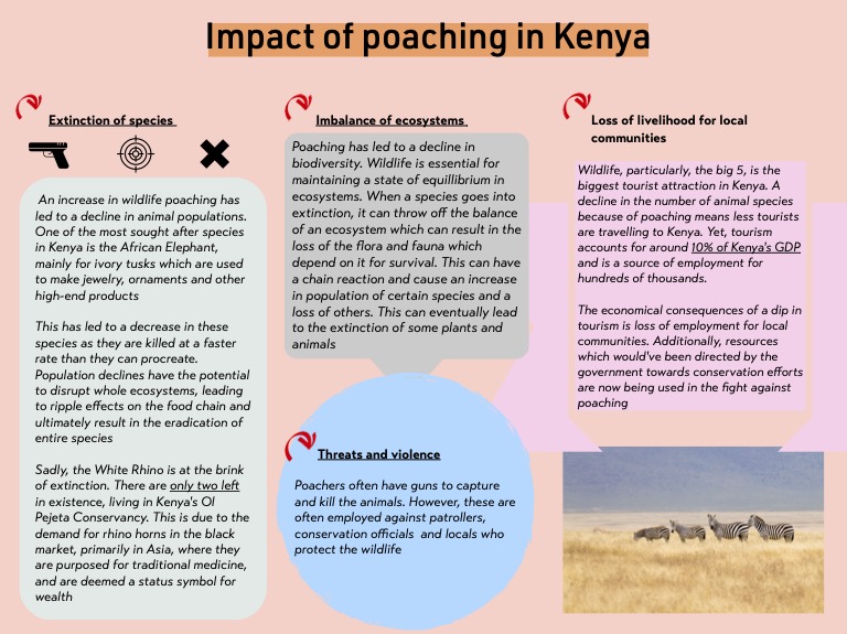 Poaching and Illegal Wildlife Trade in Kenya | Discovering Sustainability