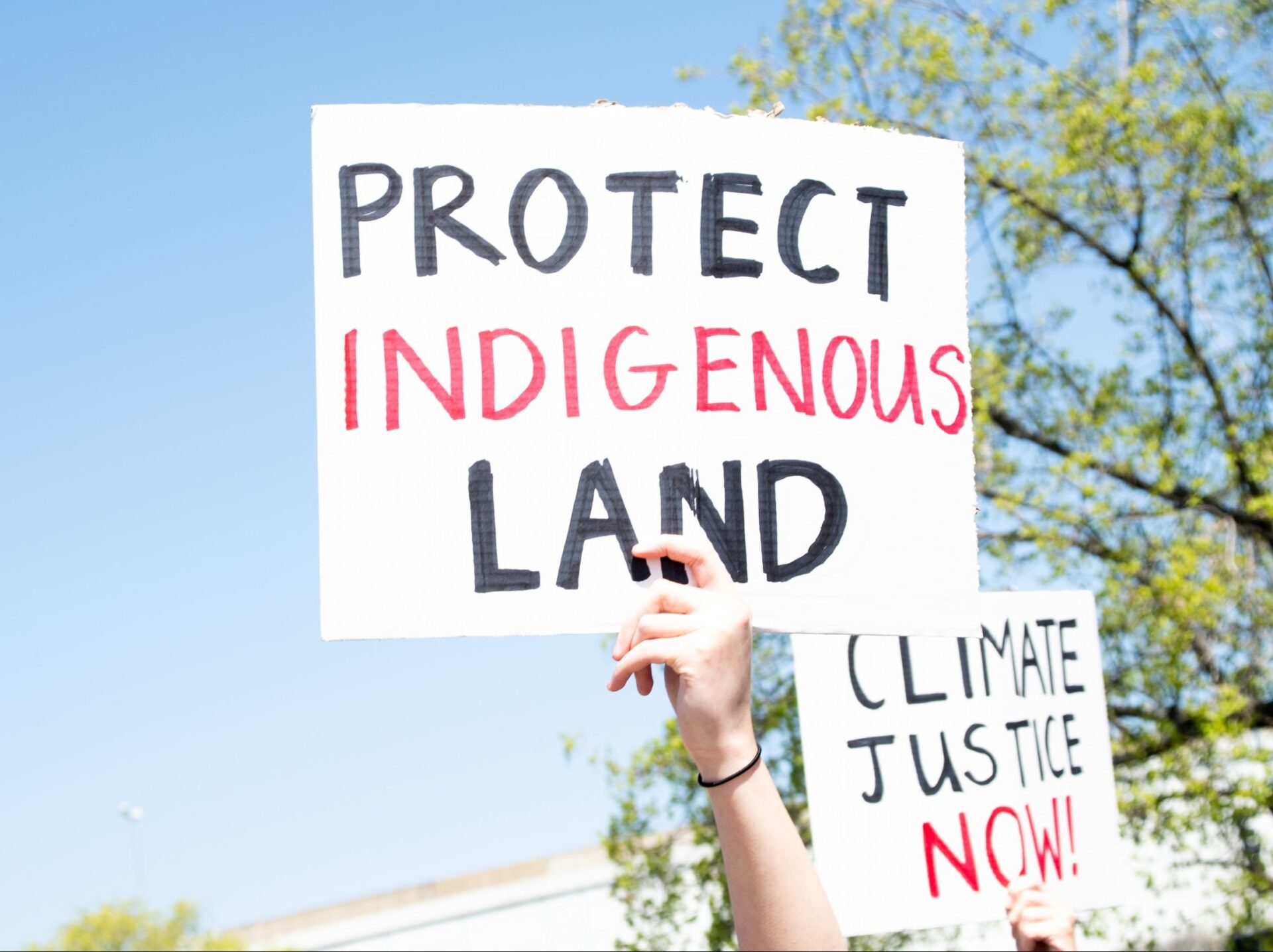 Ecotourism for Conservation: The Darkside for Indigenous Communities ...